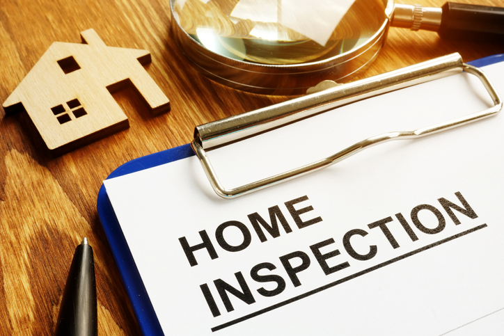 Blue Grizzly Property Inspections - News